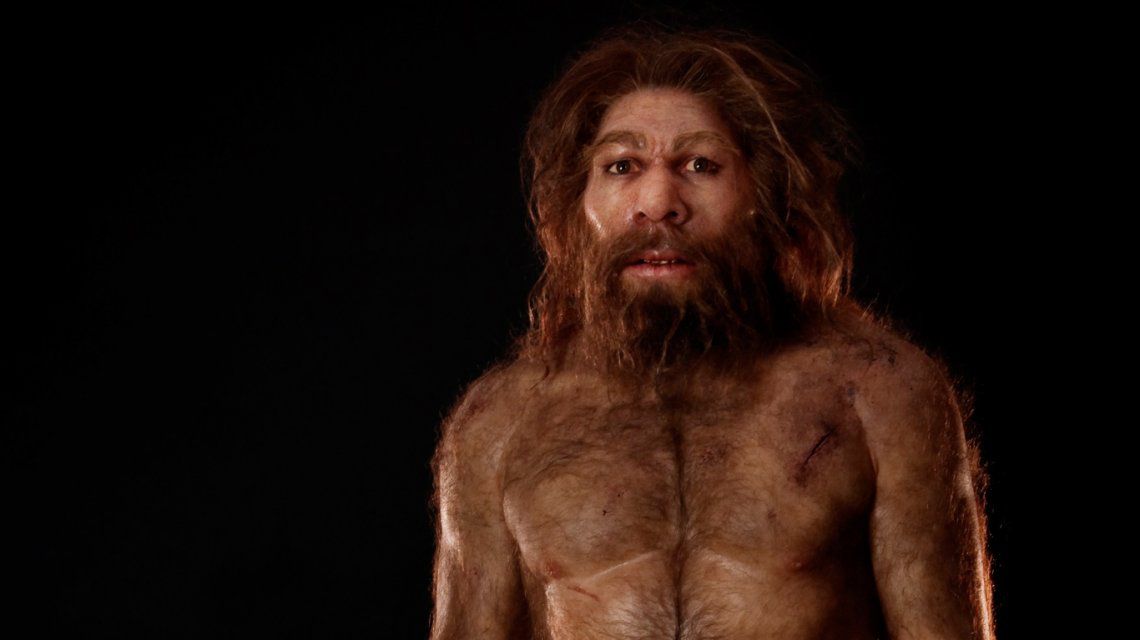 Los neandertales fueron 20 mil años antes de lo que se creía - En Provincia