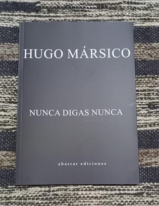 La Dra. en Letras María Minellono reflexionó sobre el libro de poemas Nunca digas nunca" del ...